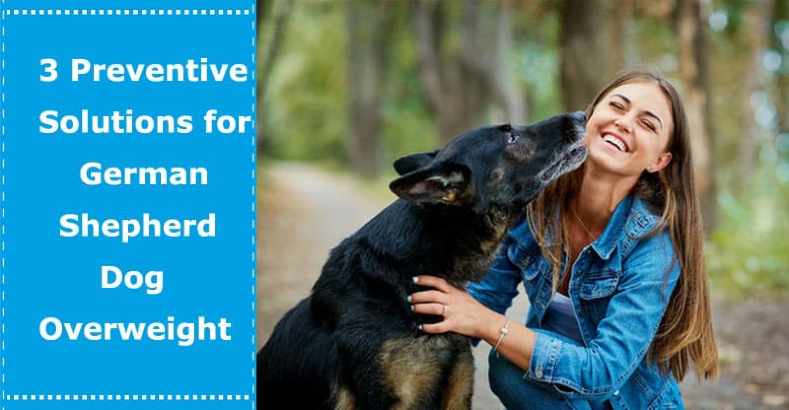 3 Preventive Solutions for German Shepherd Dog Overweight - PetXU