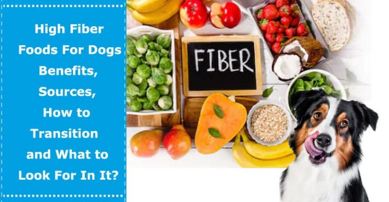 High Fiber Foods For Dogs: Benefits, Sources, How to Transition and ...